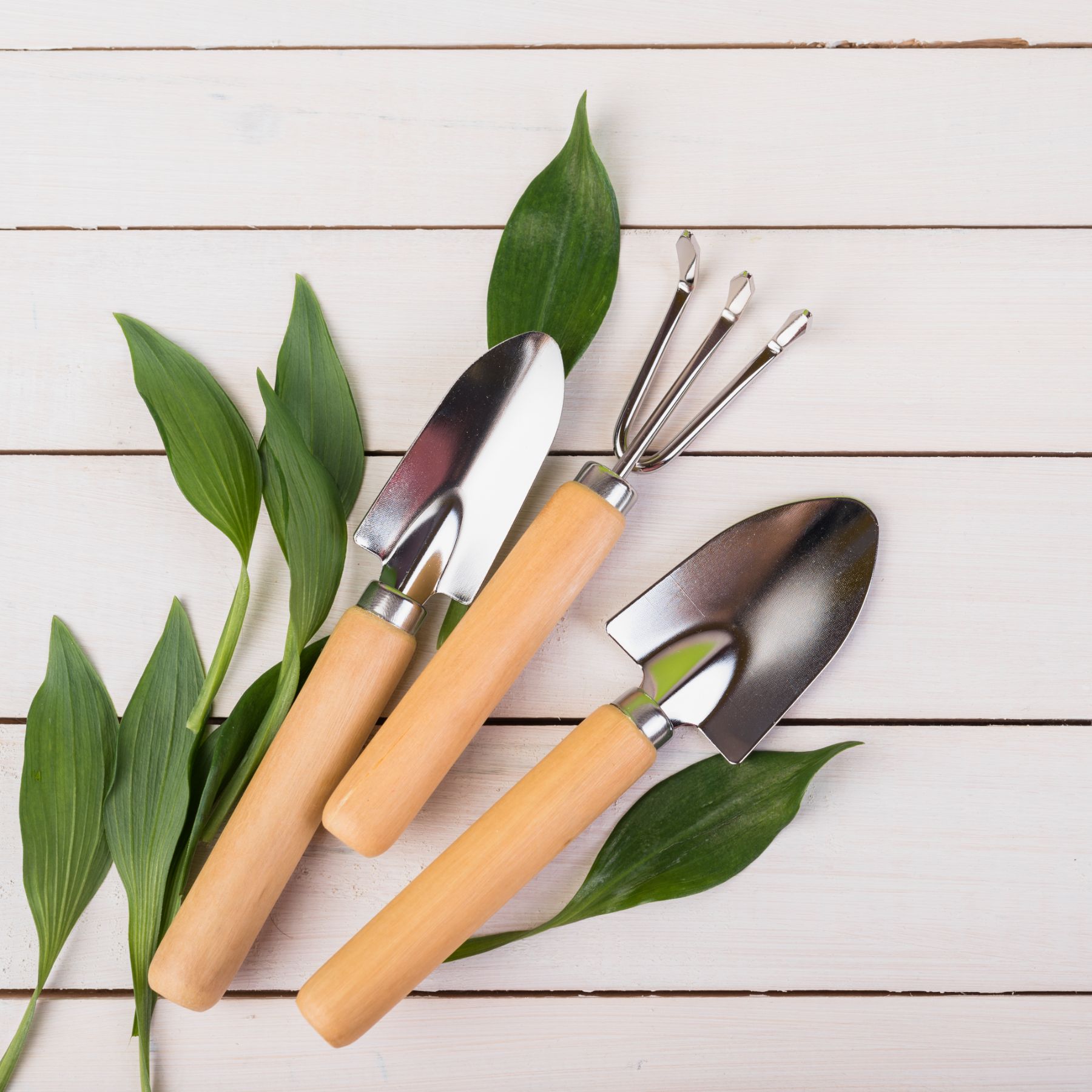 Tudor | Magento and Intact iQ ERP Integration | Magium